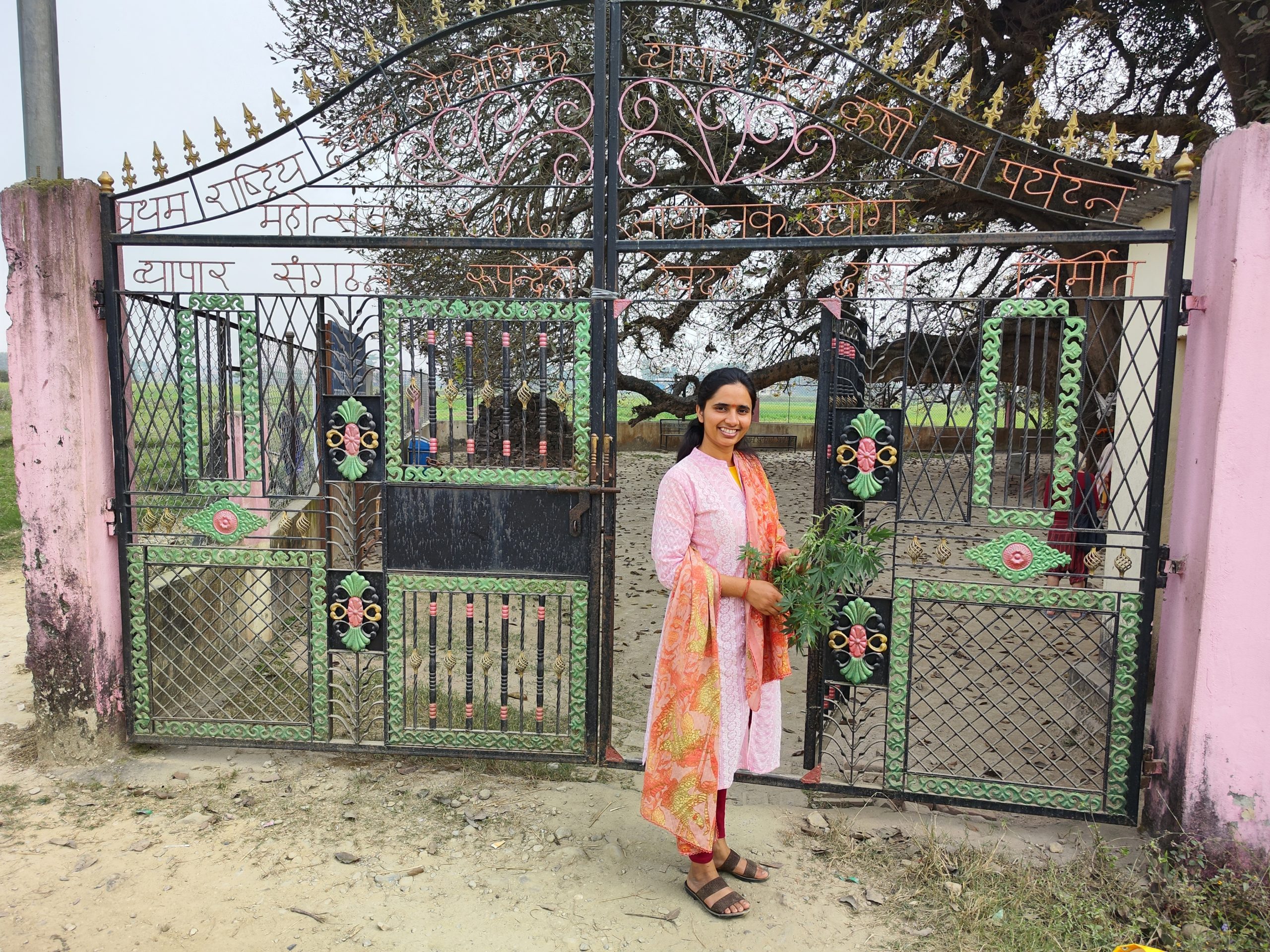 Größter und ältester Baum Asiens - Nepal